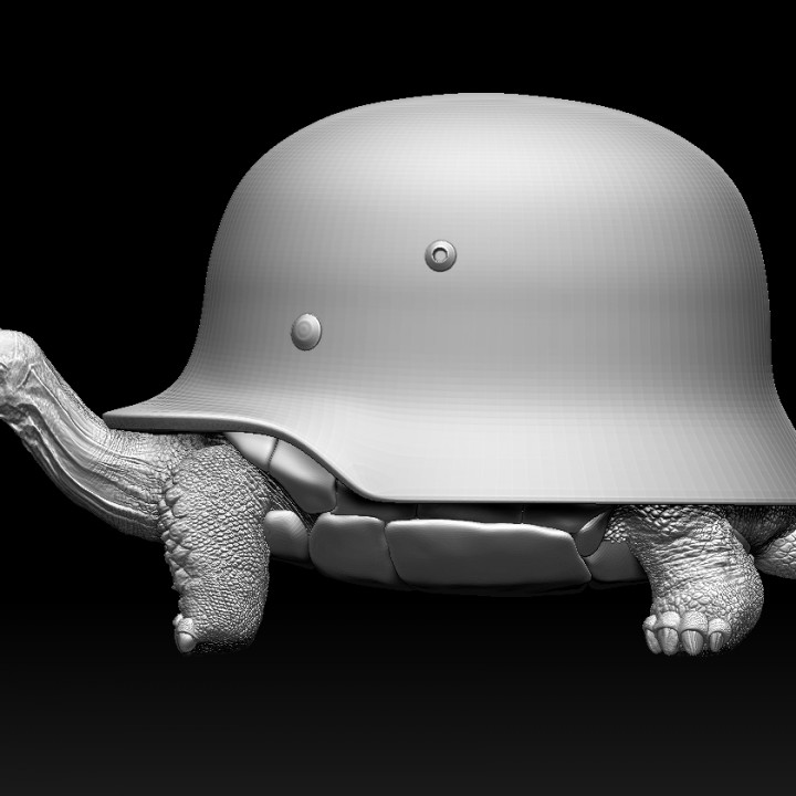 3D Printable TURTLE HELMET by Dmitry Tishchenkov