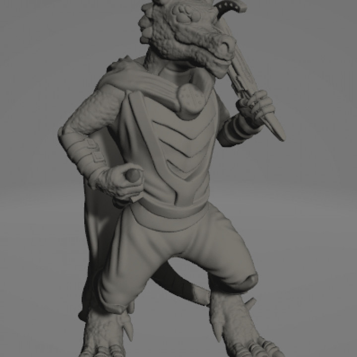 3D Printable Kobolds!!! Rogue, Fighter, and Flying (FREE) by Tarius ...