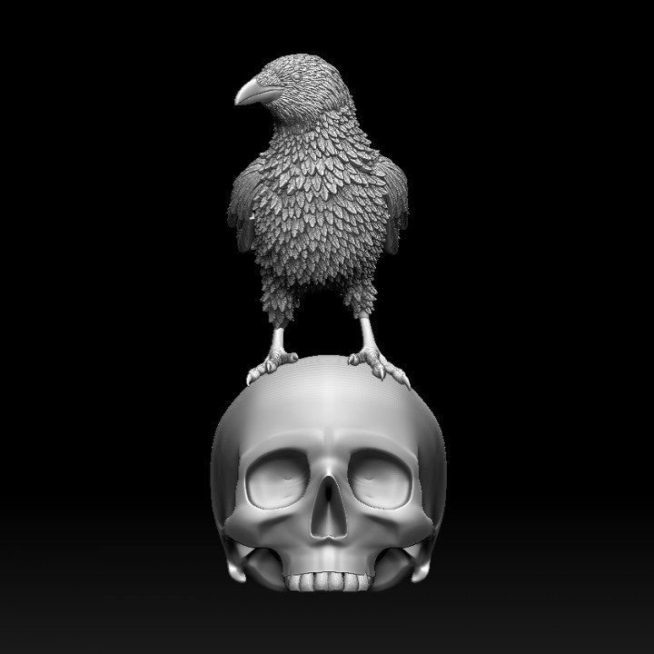 3D Printable bird crow scull by 3Dimontis