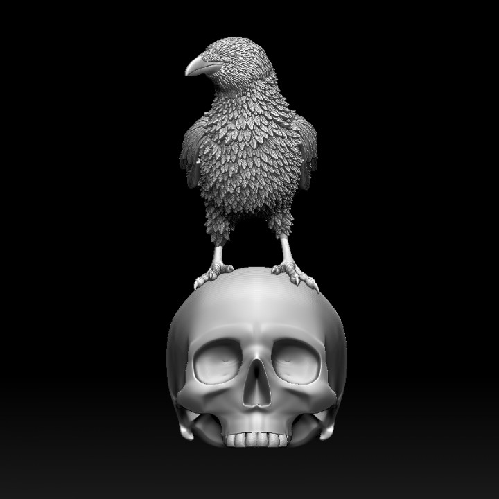 3D Printable bird crow scull by 3Dimontis