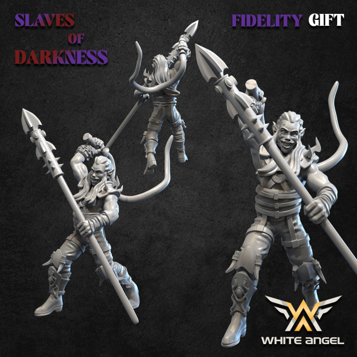 3D Printable DARK BEAST TAMER (ELF FROM DARK ELVES) by WHITE ANGEL ...