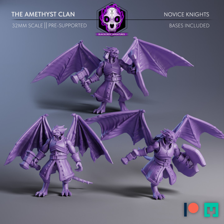 3D Printable The Amethyst Clan | Adventurers by Blackcrest Miniatures