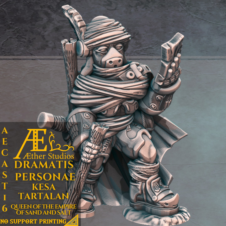 3D Printable AECAST16 - Kesa Tartalan by Aether Studios