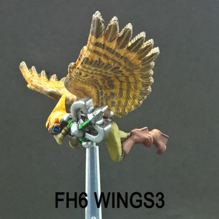 3D Printable Hawkman Flying Squad Bundle by Cold War Miniatures