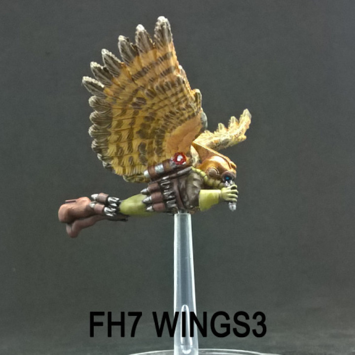 3D Printable Hawkman Flying Squad Bundle by Cold War Miniatures