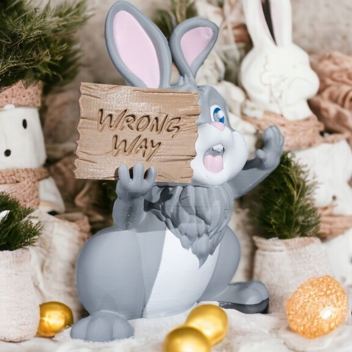 3D Printable Wrong Way Bunny Sign by Stlflix