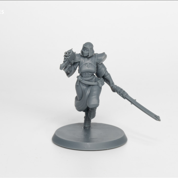 3D Printable Divine Order - Initiates Bundle + Pinup by PSMiniatures
