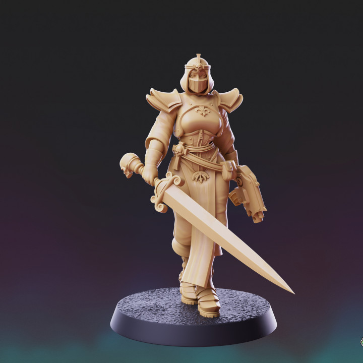 3D Printable Divine Order - Initiates Bundle + Pinup by PSMiniatures