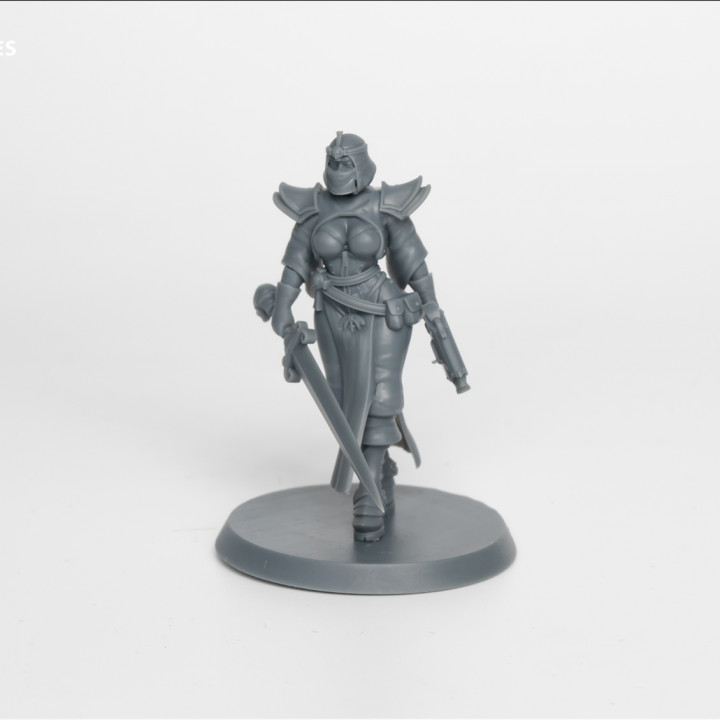 3D Printable Divine Order - Initiates Bundle + Pinup by PSMiniatures
