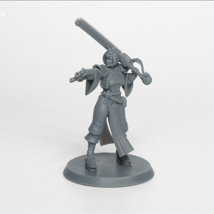 3D Printable Divine Order - Initiates Bundle + Pinup by PSMiniatures