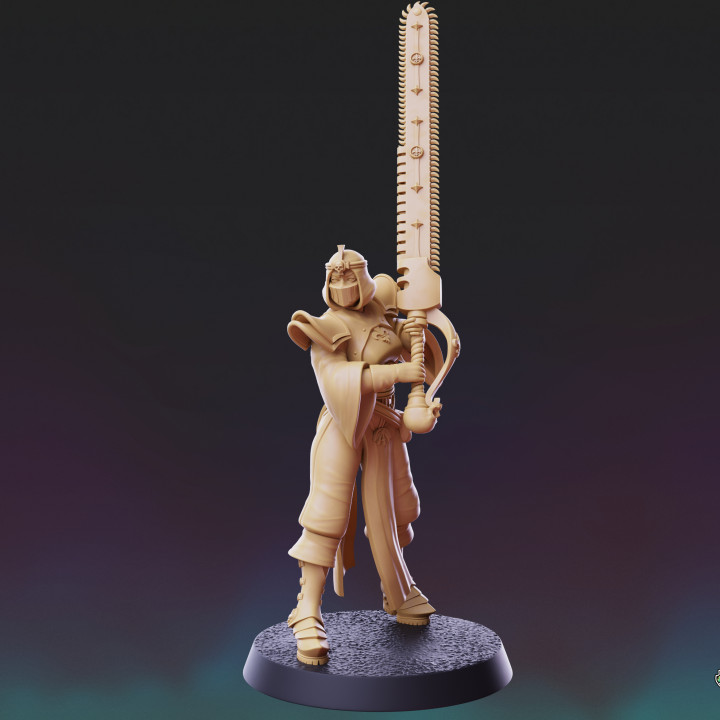 3D Printable Divine Order - Initiates Bundle + Pinup by PSMiniatures