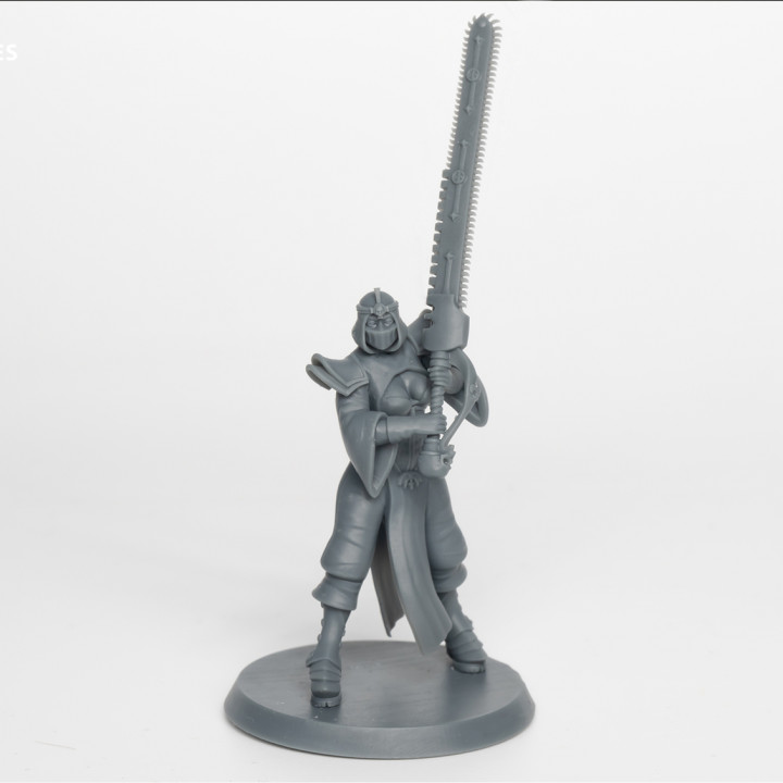 3D Printable Divine Order - Initiates Bundle + Pinup by PSMiniatures