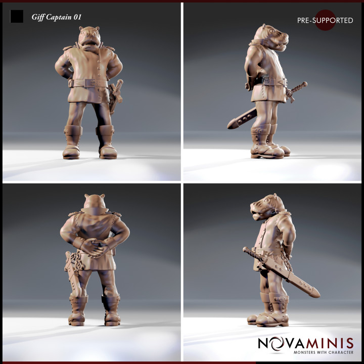 3D Printable Giff Captain 01 by NOVAMINIS