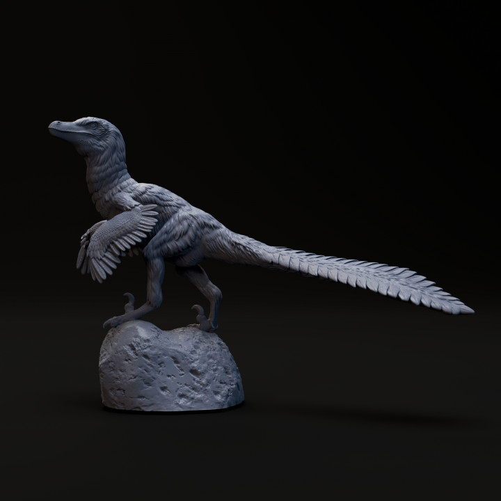 3D Printable Velociraptor looking 1-20 scale pre-supported dinosaur ...