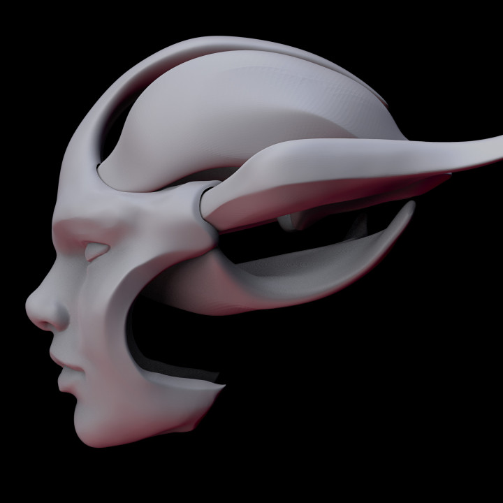 3D Printable Face Shell by Ludwik
