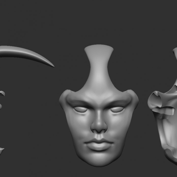 3D Printable Face Shell by Ludwik