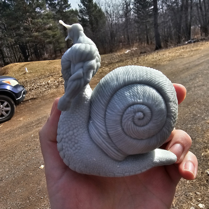 3D Printable Buff snail by Zane Rogers