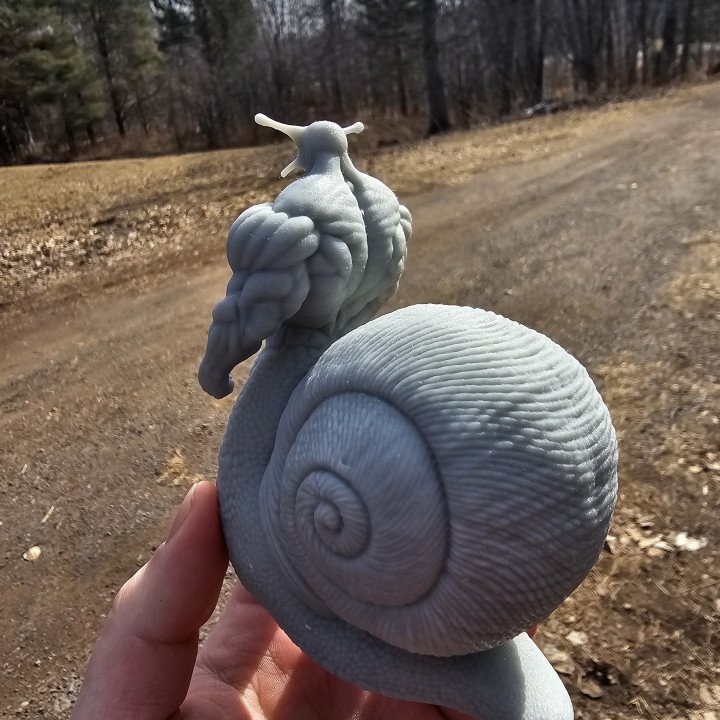 3D Printable Buff snail by Zane Rogers