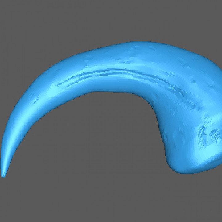 3D Printable Life Size Velociraptor Talon by Max