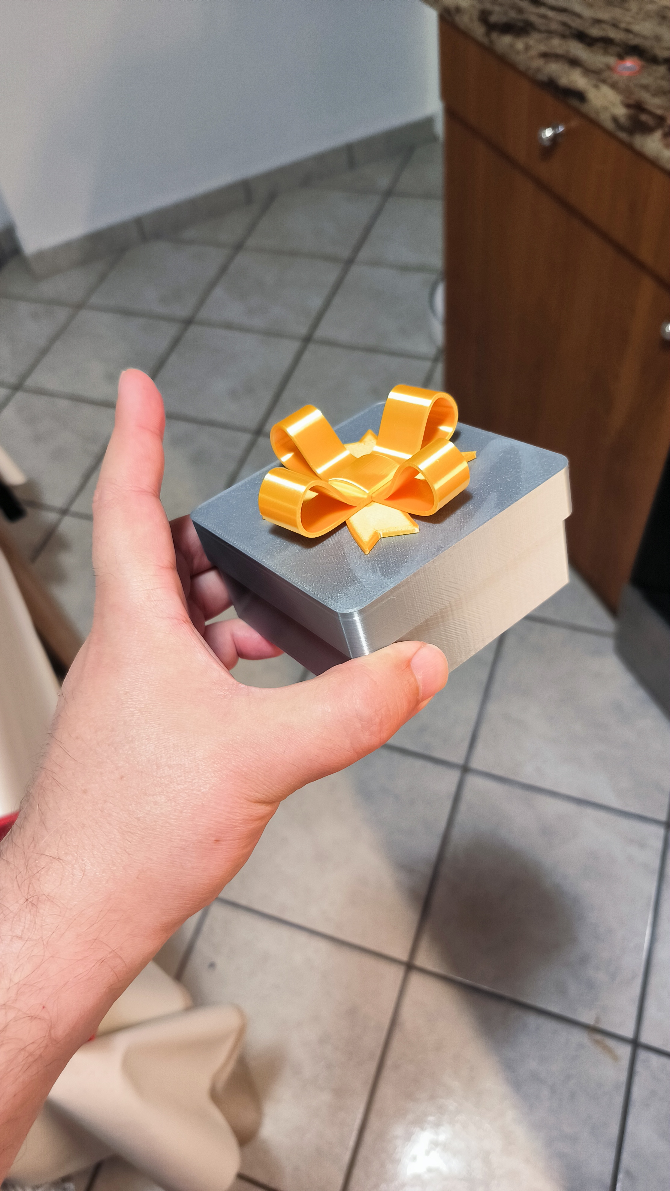 3D Printable Lockable Boxes by BODY3D