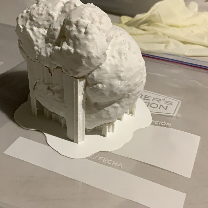 3D Printable Dolphin Brain MRI scan by Daniel Villegas