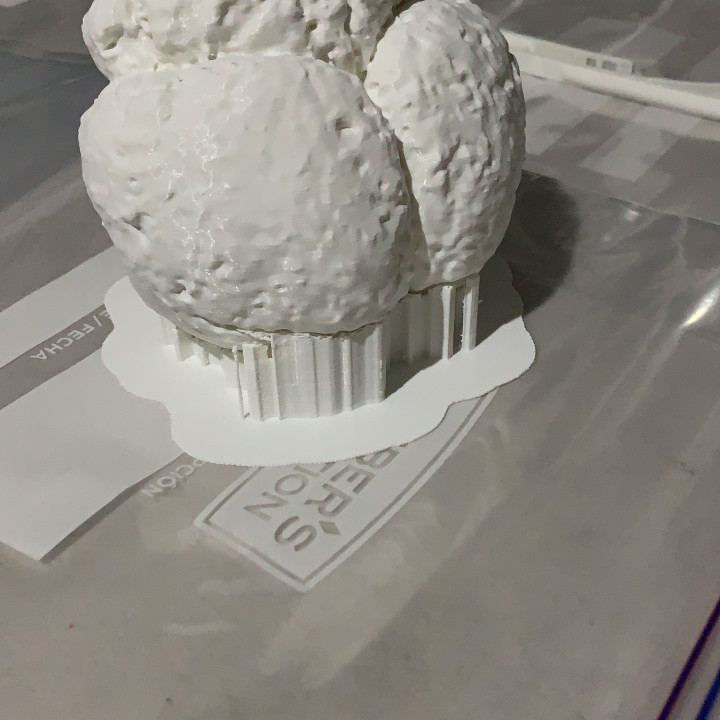 3D Printable Dolphin Brain MRI scan by Daniel Villegas