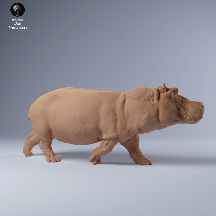3D Printable Hippo Run by Animal Den Miniatures
