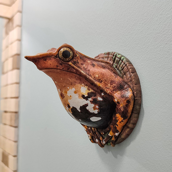3D Printable Wall Frog Darwin by PipeCox