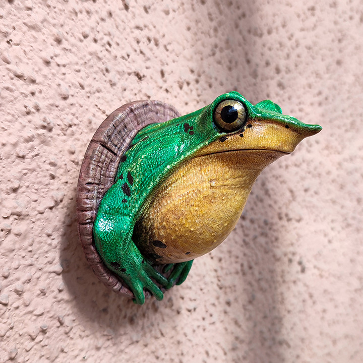 3D Printable Wall Frog Darwin by PipeCox