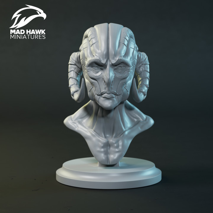 3D Printable Alien Bust by Mad Hawk Miniatures