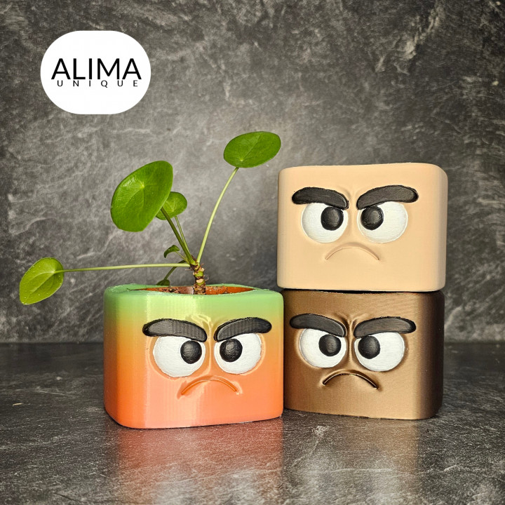 3D Printable Grumpy buddy plant pot by ALIMA UNIQUE DESIGNS