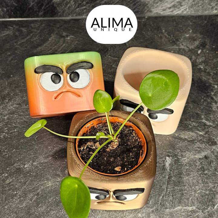 3D Printable Grumpy buddy plant pot by ALIMA UNIQUE DESIGNS