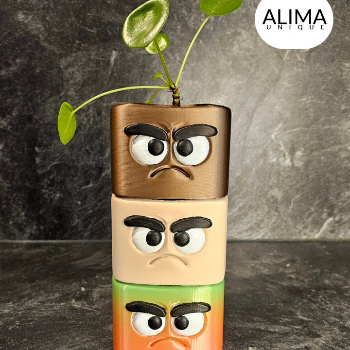 3D Printable Grumpy buddy plant pot by ALIMA UNIQUE DESIGNS