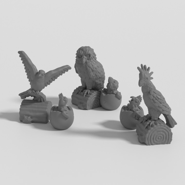 3D Printable Wingspan Upgraded Player Tokens Flycatcher Owl Cockatoo by ...