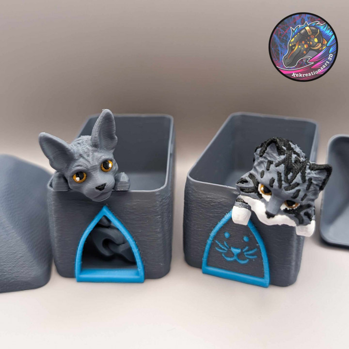 3D Printable Cat Adoption House by Kirsten M