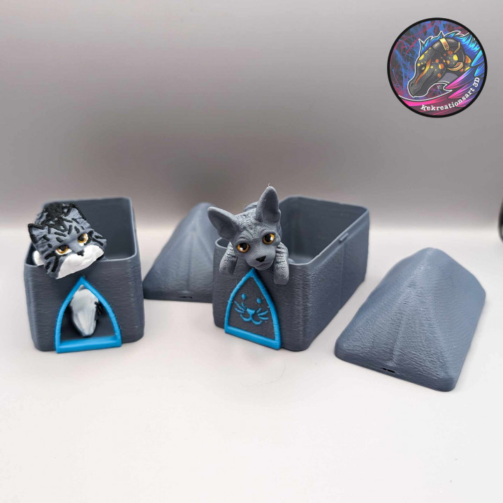 3D Printable Cat Adoption House by Kirsten M