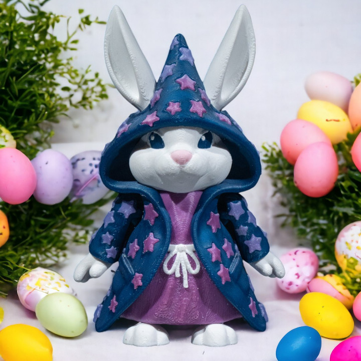 3D Printable Wizard Bunny by Stlflix