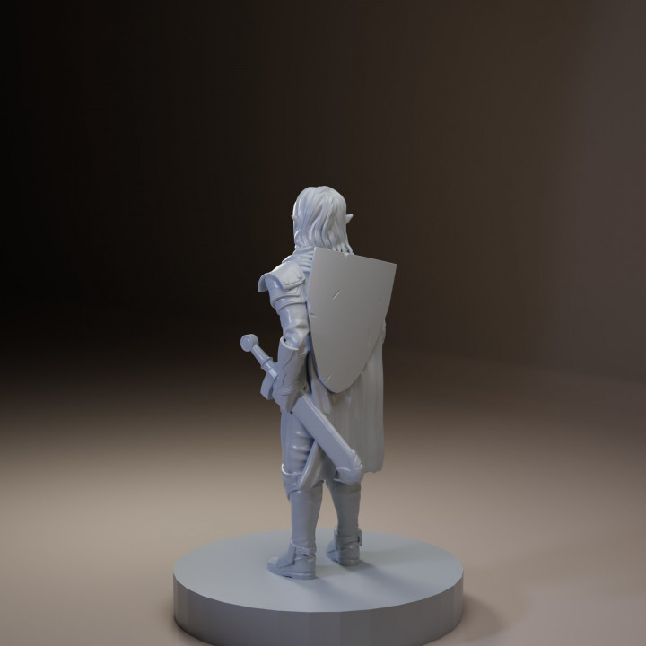 3D Printable Alistar - Half elf Eldritch knight - Pose 1 by Rogue Hero ...