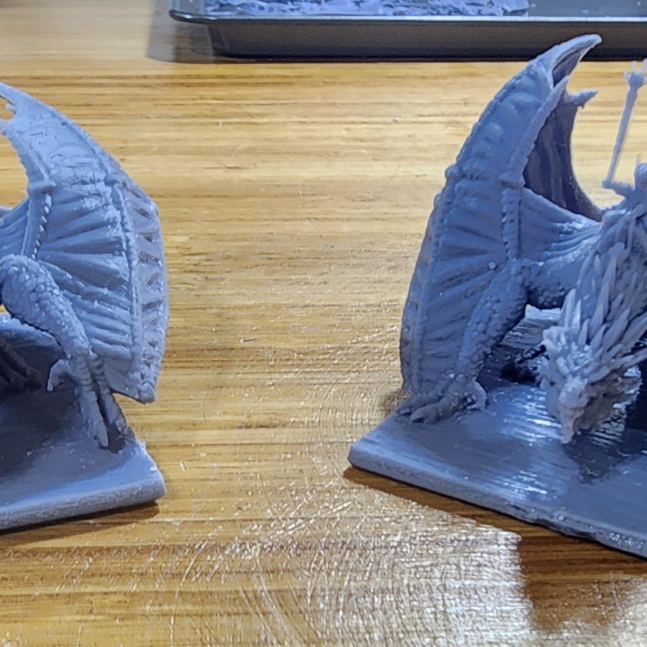 3D Print of Elven Dragon Riders by chaprich