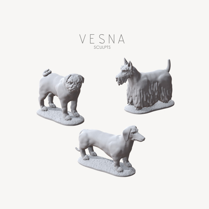 3D Printable SMALL DOGS PACK by VESNA SCULPTS