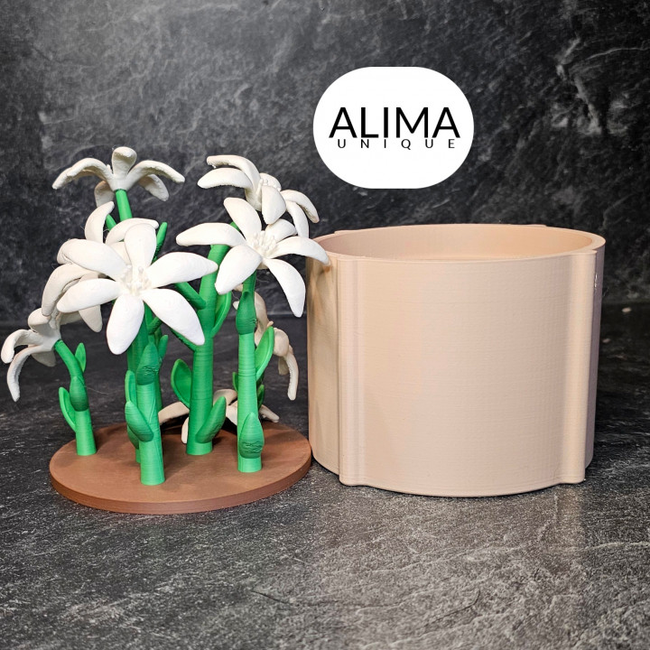 3D Printable Charming lily plant for the office or home by ALIMA UNIQUE ...