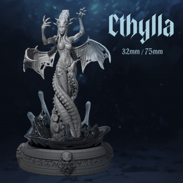 3D Printable Cthylla 32 and 75 by Dungeons & Maidens