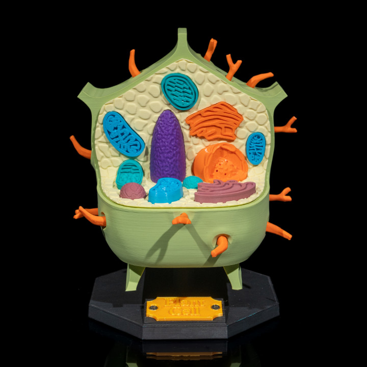 3D Printable Plant Cell by Stlflix