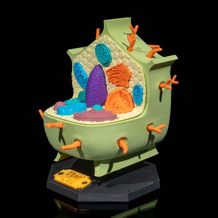 3D Printable Plant Cell by Stlflix