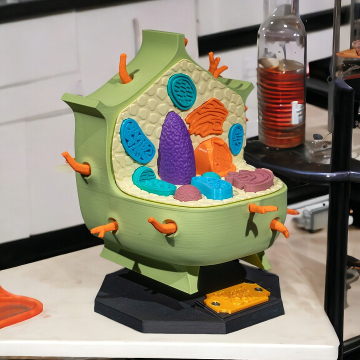 3D Printable Plant Cell by Stlflix