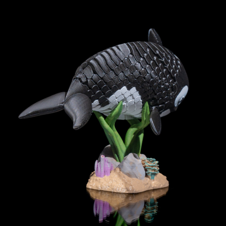 3D Printable Oscar, the Orca by Stlflix