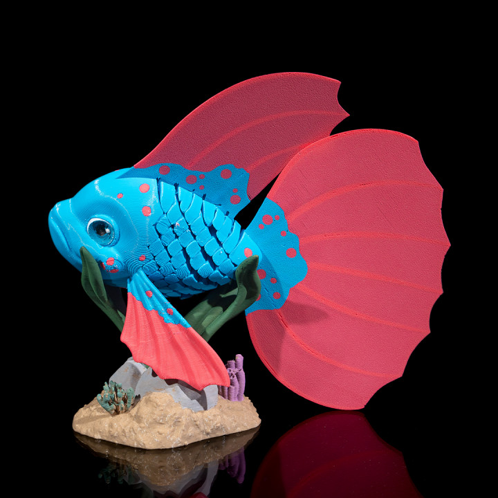 3D Printable Bella, the Betta Fish by Stlflix