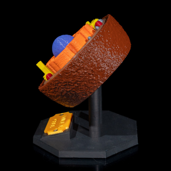 3D Printable Animal Cell by Stlflix