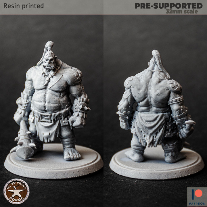 3D Printable The Ogres BUNDLE (17 Unique pre-supported STLs) by ...