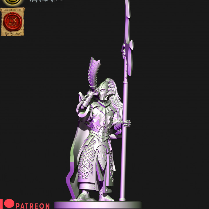 3D Printable Dark elves Obsidian guard (elf) by HoloMiniatures